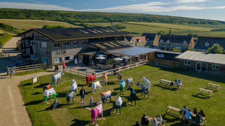 A day trip with a difference! | Tapnell Farm Isle of Wight