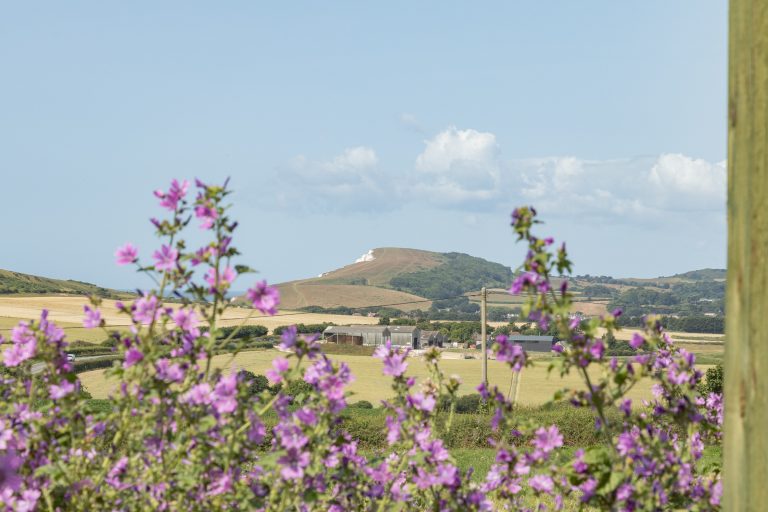 Camp Tapnell | Tapnell Farm Isle of Wight