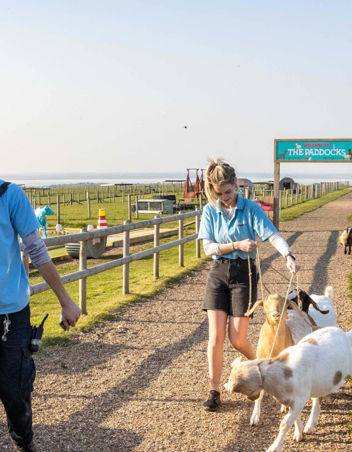 Meet our Keepers | Tapnell Farm Isle of Wight