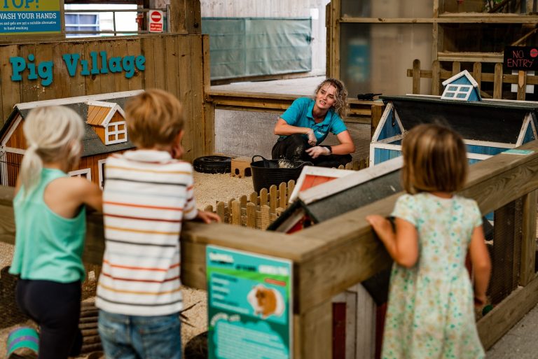 Daily Animal Activities | Tapnell Farm Isle of Wight